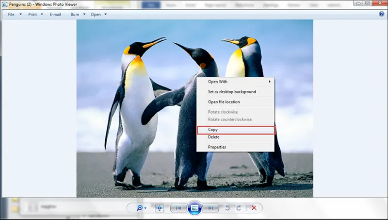 Best Ways to Extract Images from Outlook Email - Step by Step